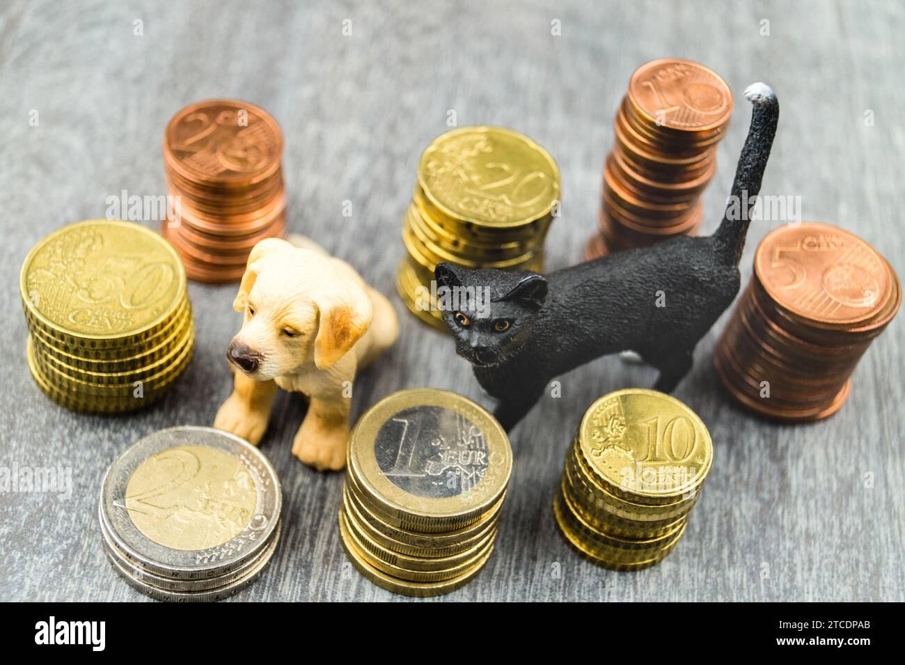 Euro coins and plastic figures of dog and cat Stock Photo - Alamy