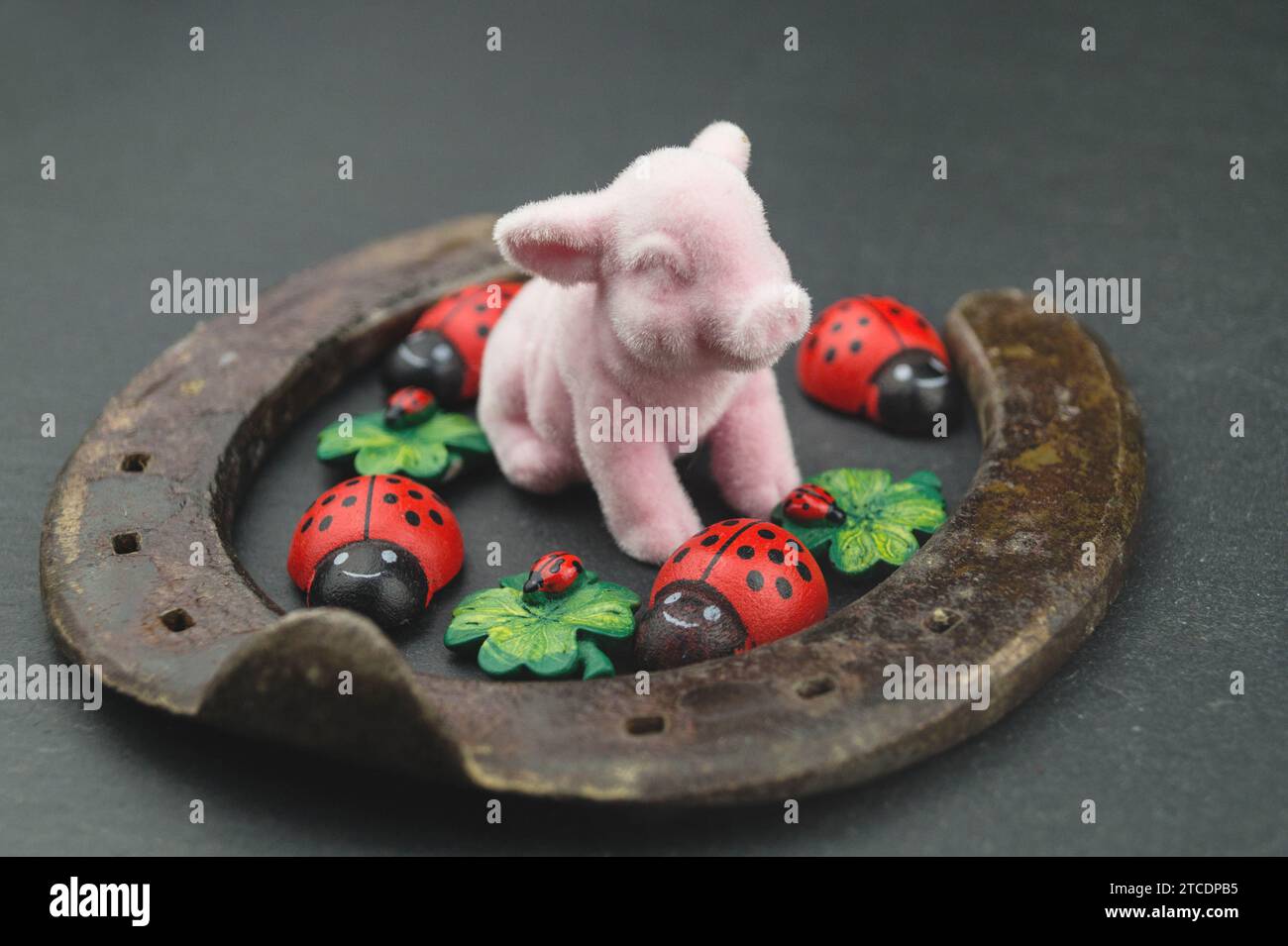 horseshoe, lucky pig, beetles and four-leafed clover, lucky symbols ...