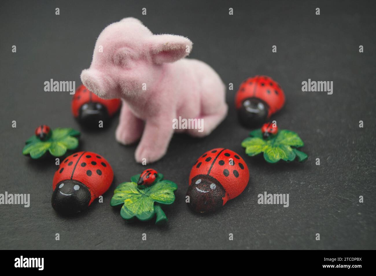 lucky pig, beetles and four-leafed clover, lucky symbols Stock Photo ...