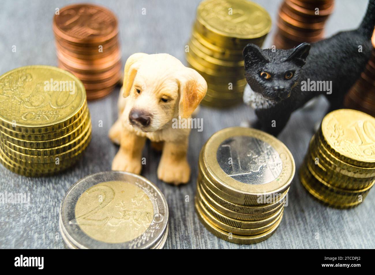Plastic money horizontal hi-res stock photography and images - Alamy