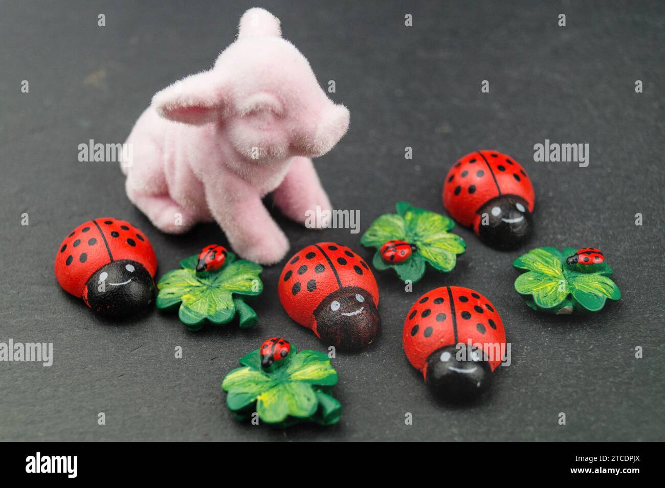 lucky pig, beetles and four-leafed clover, lucky symbols Stock Photo ...