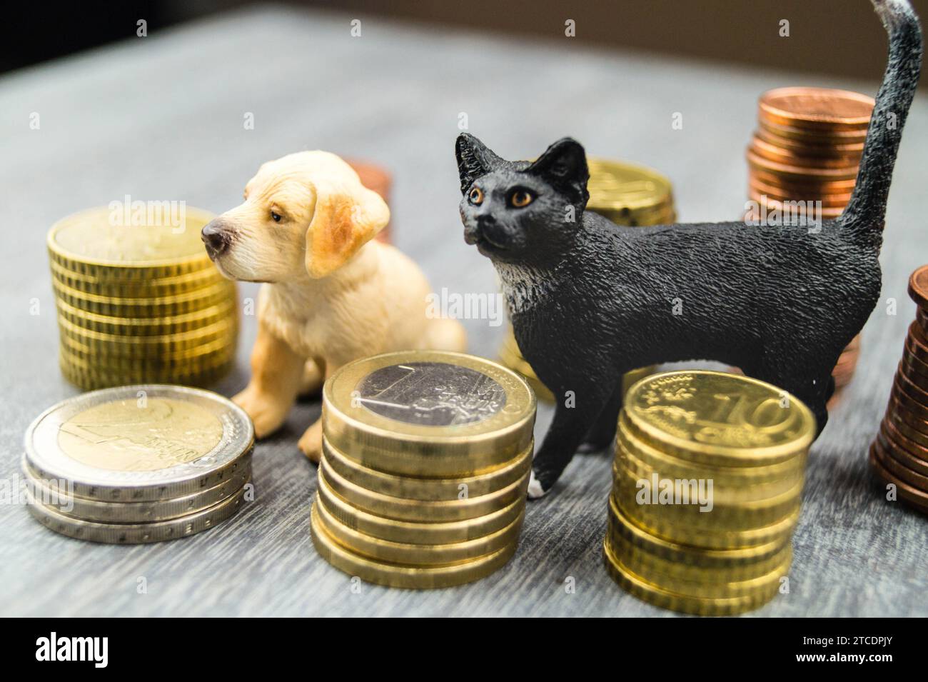 Euro coins and plastic figures of dog and cat Stock Photo - Alamy
