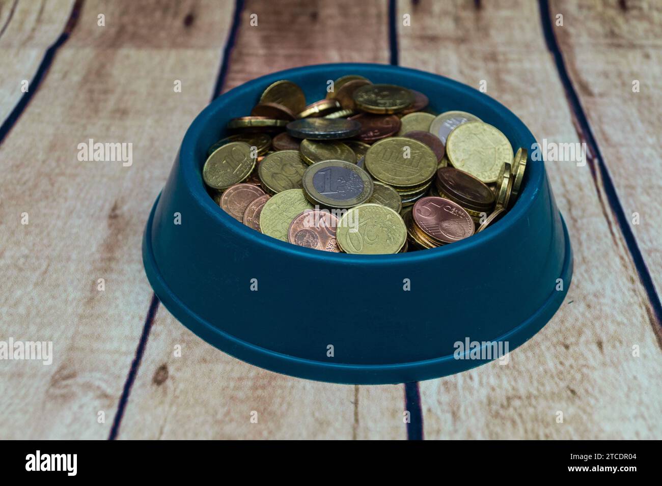 coins in the feeding bowl, symbol for feeding costs Stock Photo - Alamy