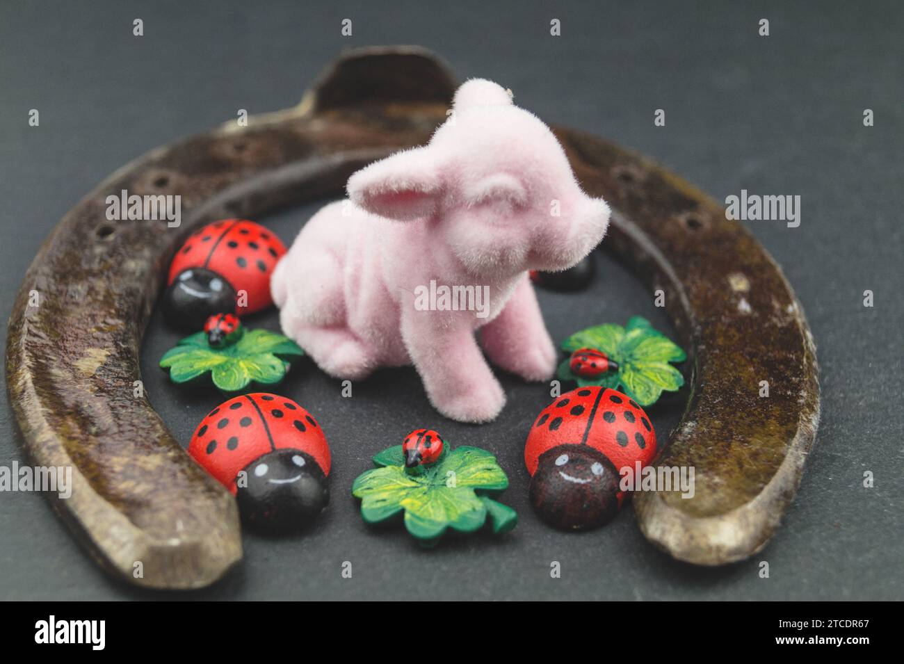 Lucky symbols pig horseshoe hi-res stock photography and images - Alamy