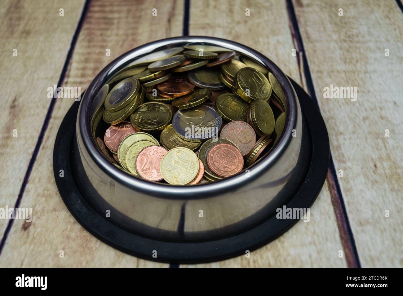 coins in the feeding bowl, symbol for feeding costs Stock Photo - Alamy