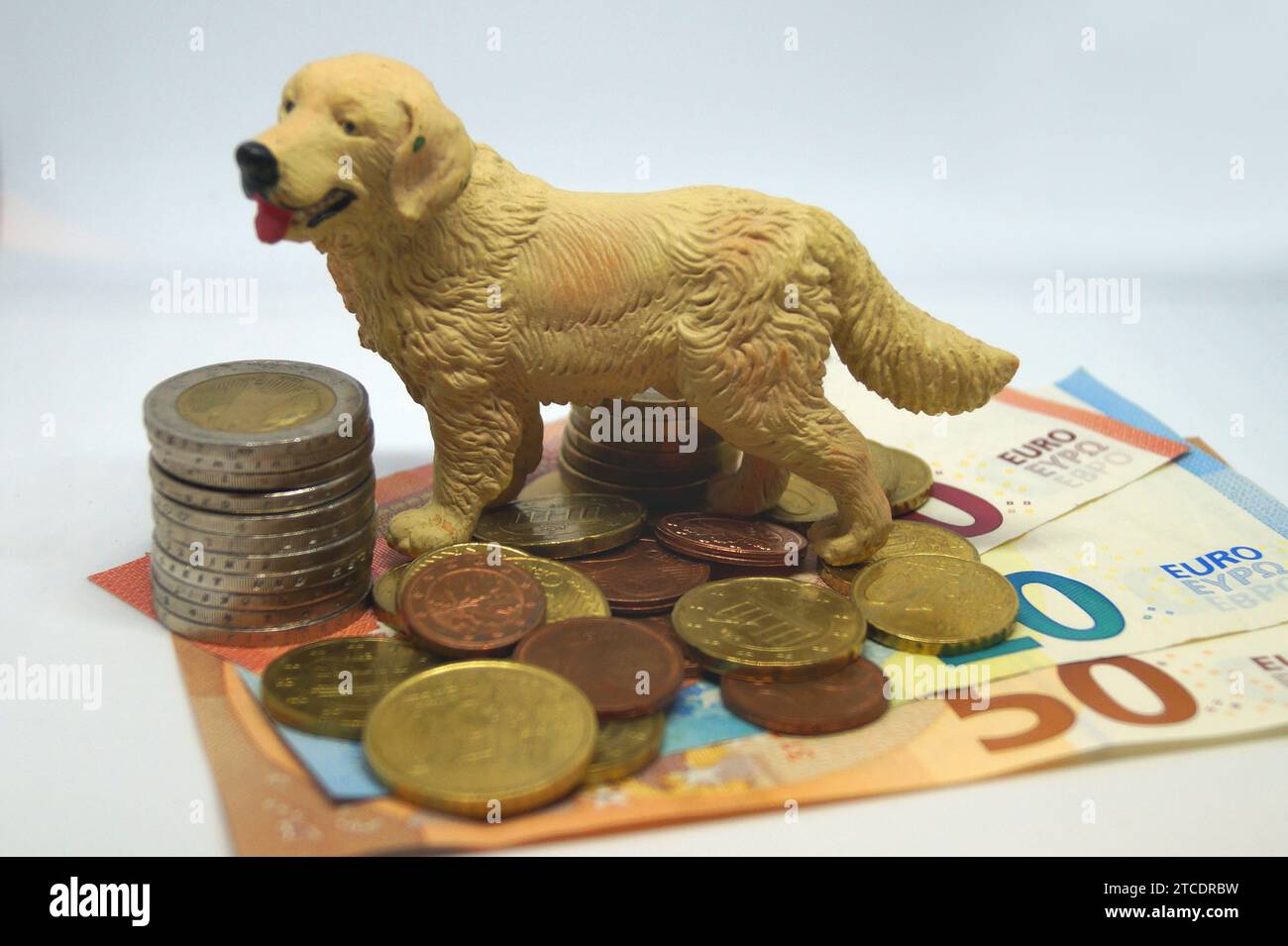 dog figure and money Stock Photo - Alamy