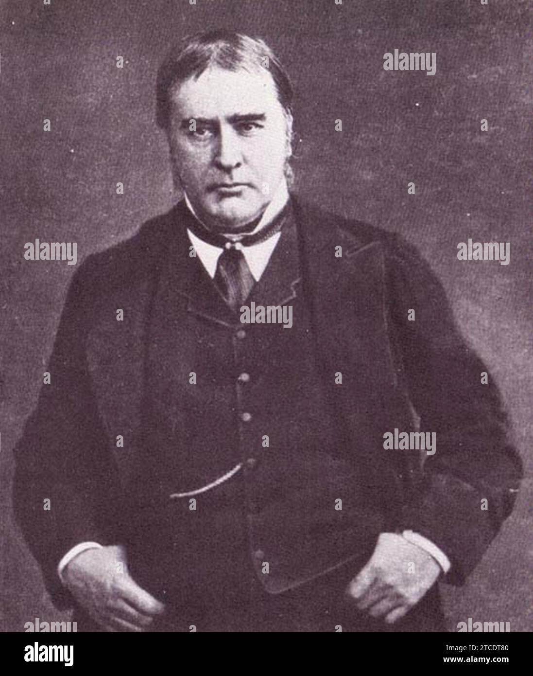 William Gull 3 Stock Photo - Alamy