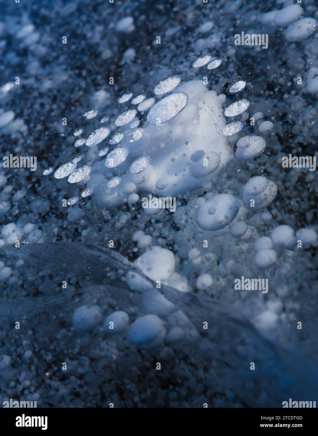 A lot of methane bubbles in the Baikal ice. Cracks on the surface of ...