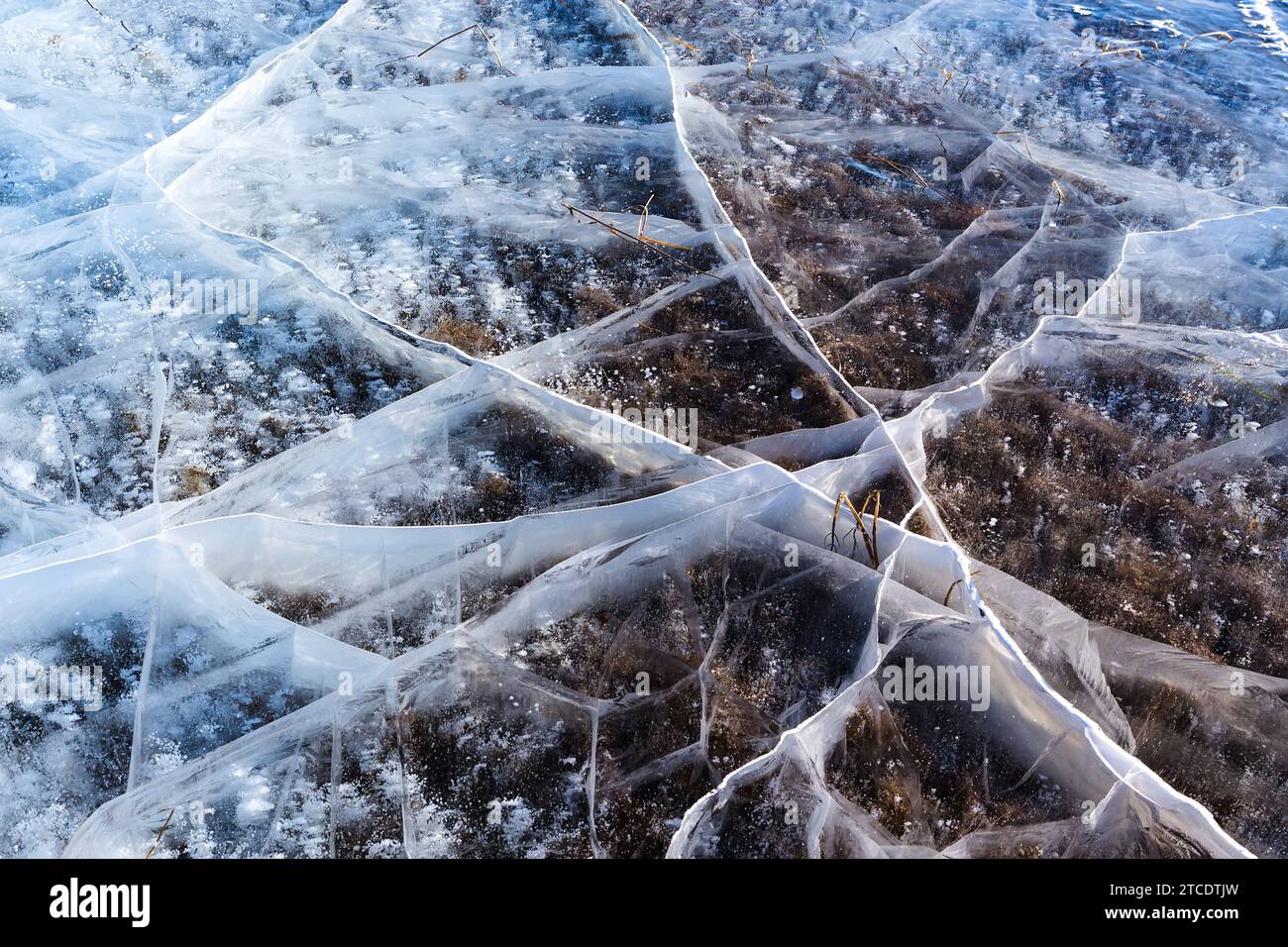 Winter background with methane bubbles and cracks on the surface of ...