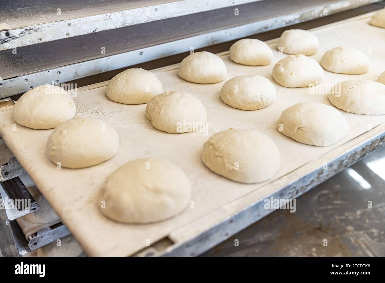 Conveyor with ball dough at the bread factory Stock Photo - Alamy