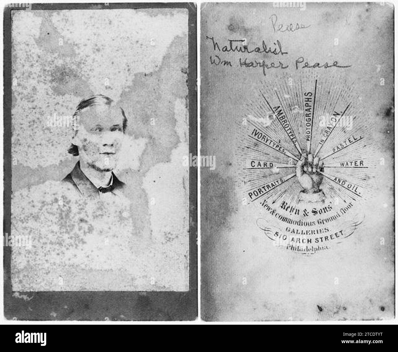 William Harper Pease - carte-de-visite - anon - Isaac A. Rehn & Sons ...