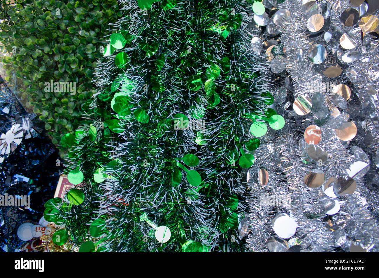 Money trees hi-res stock photography and images - Alamy