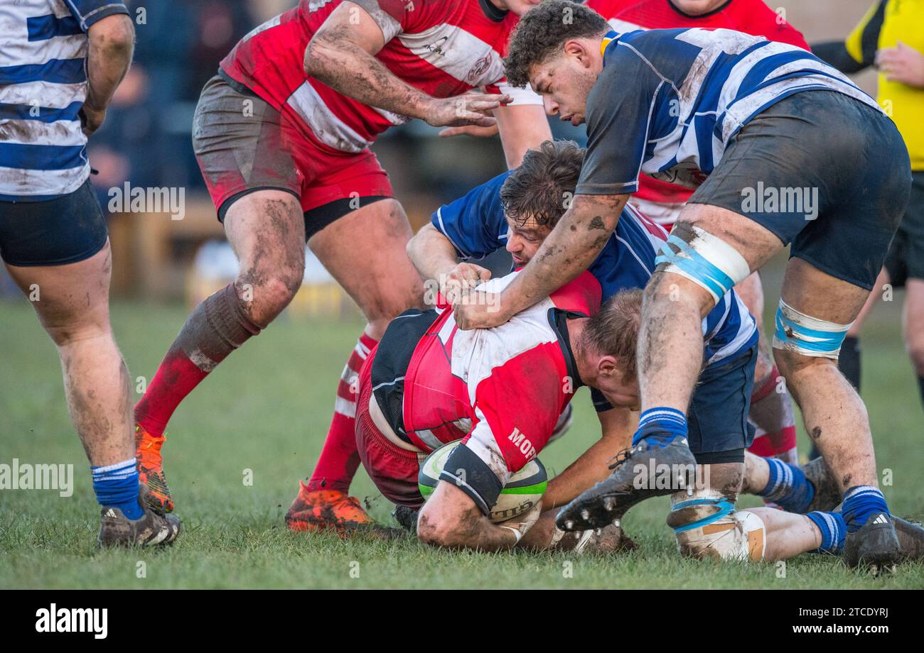English amateur Rugby Union players playing in a league game wet and ...