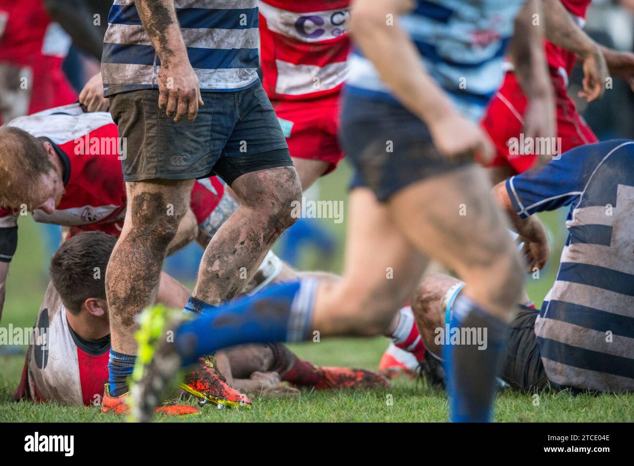 Rugby players legs hi-res stock photography and images - Alamy