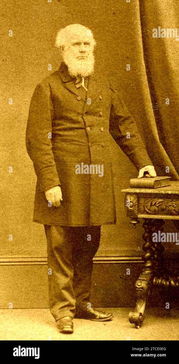 William howitt hi-res stock photography and images - Alamy