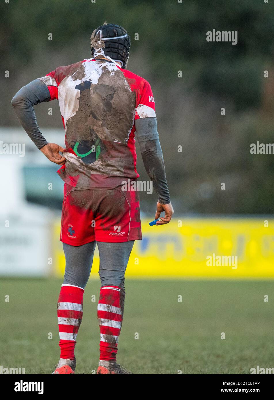 England rugby shirt hi-res stock photography and images - Alamy