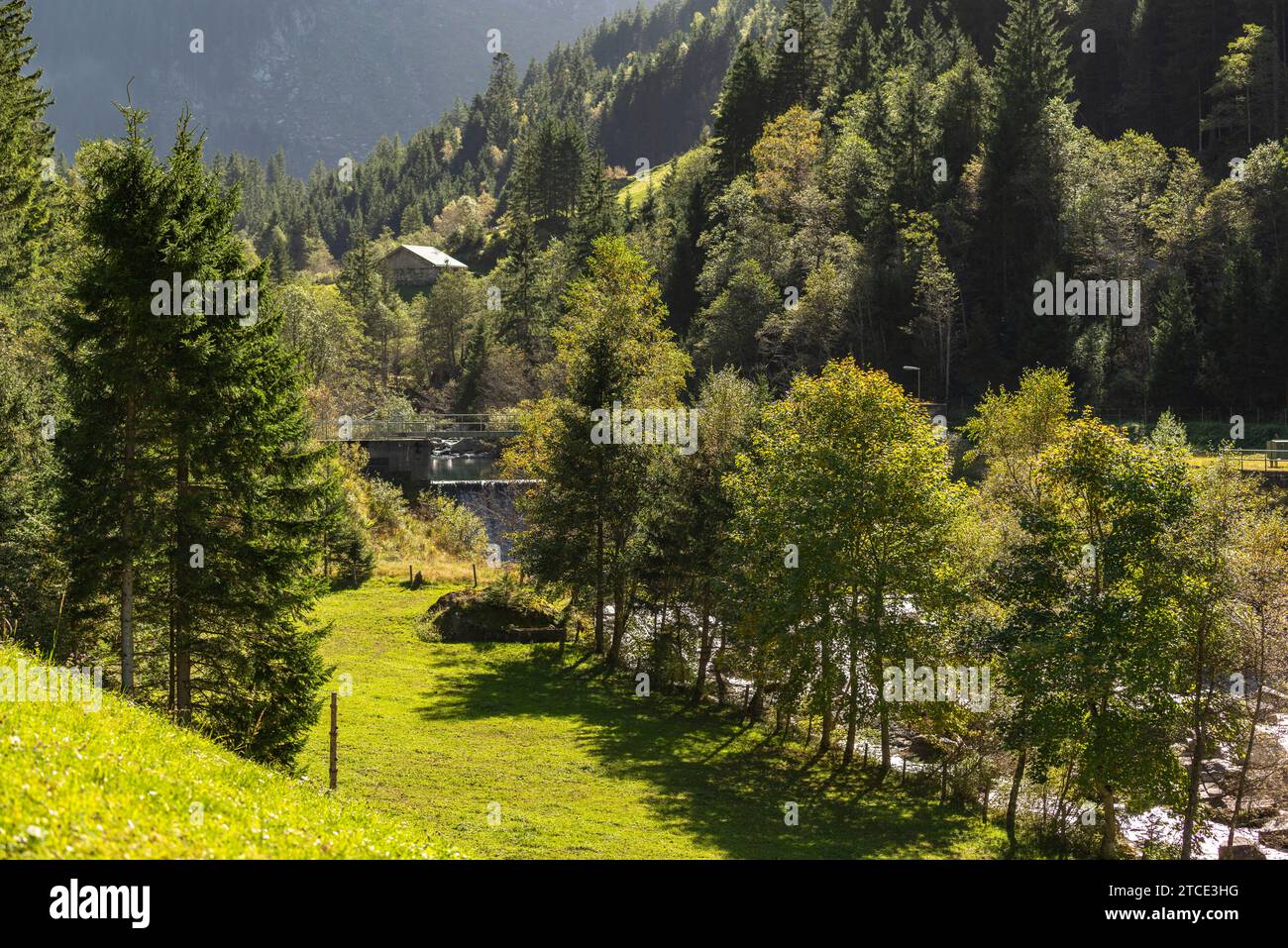 Brandberg community, Valley Zillergrund, Zillertal Alps, Tyrol, Austria ...
