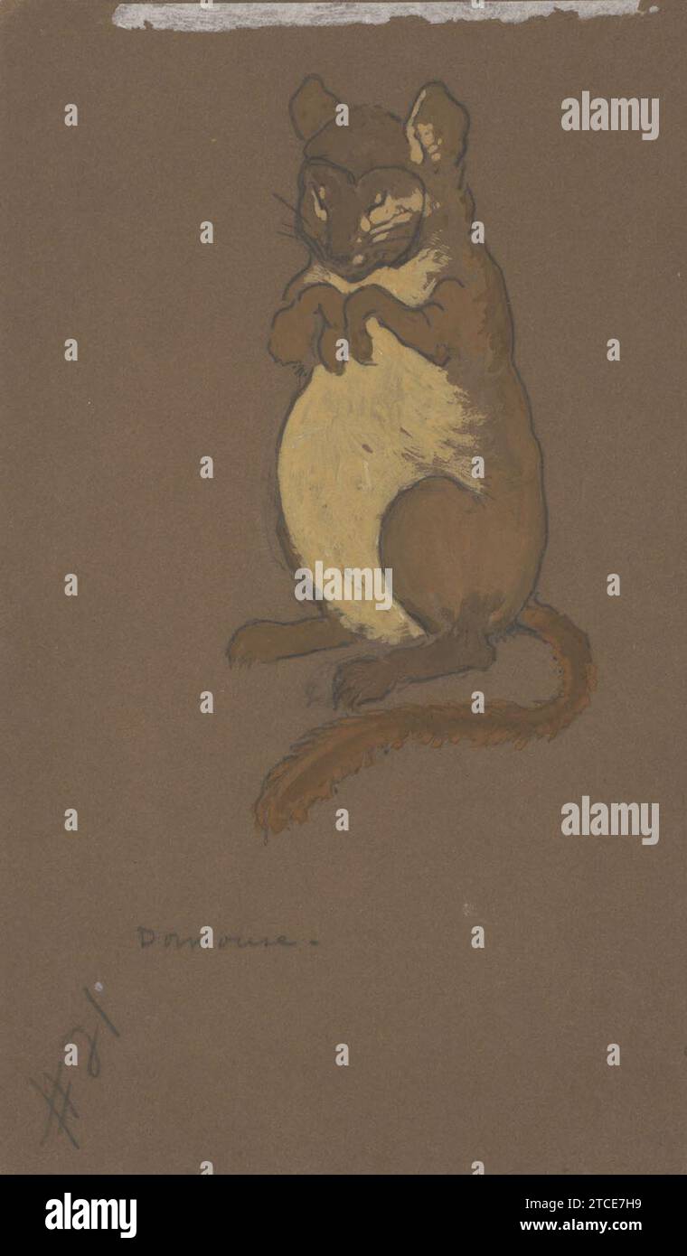William Penhallow Henderson - Dormouse (costume design for Alice-in ...