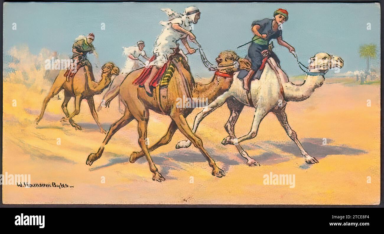 Camel Racing - Vintage Cigarette Card Stock Photo - Alamy