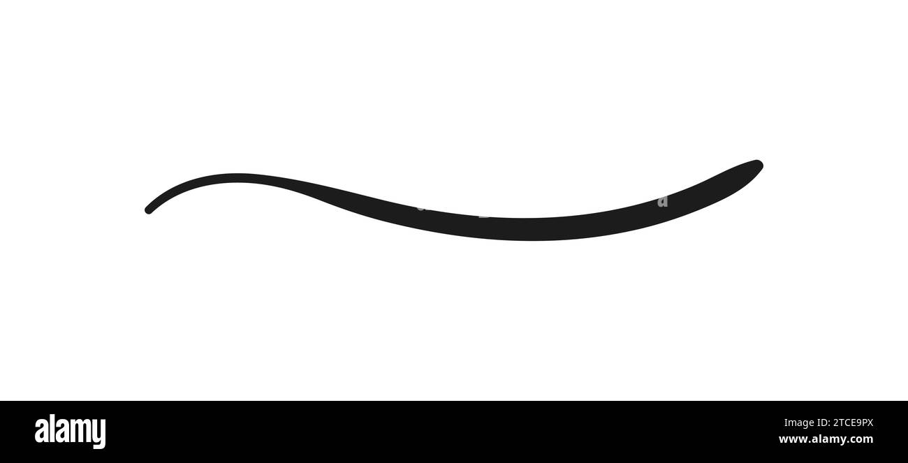 Swoosh and swoops underline typography tail shape. Brush drawn thick ...