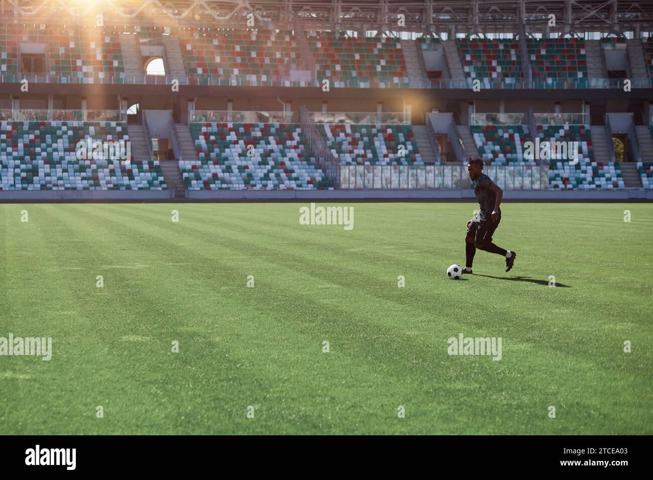Professional american football player hi-res stock photography and ...