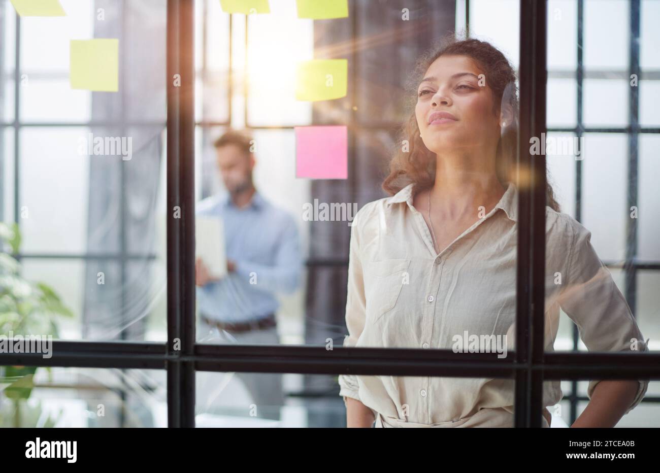 Smiling business woman looking out the window Stock Photo - Alamy