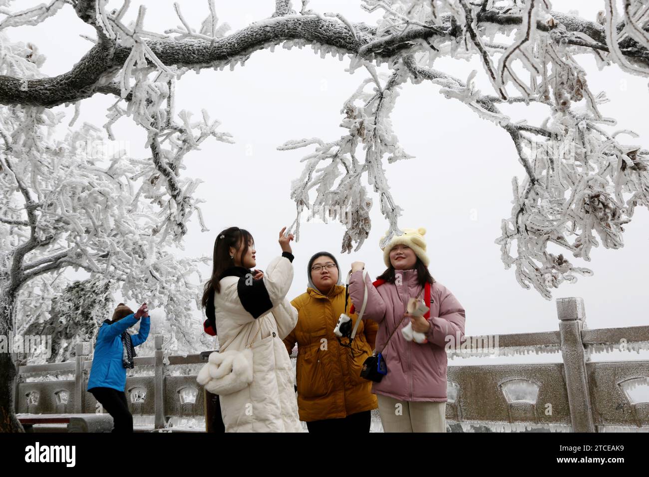 Tourists are viewing the rime scenery at the Huaguo Mountain scenic ...