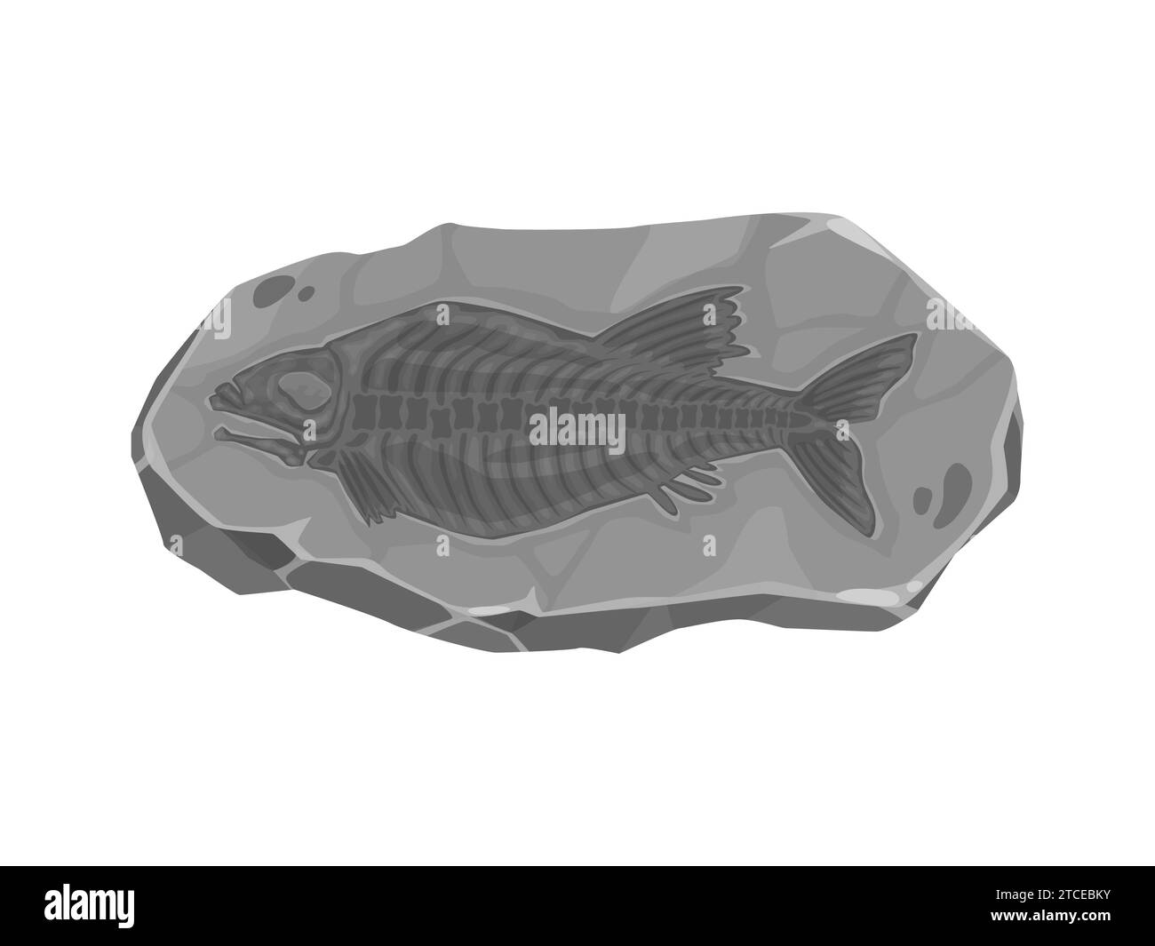 Ancient fish fossil imprint in stone. Prehistoric era aquatic life ...