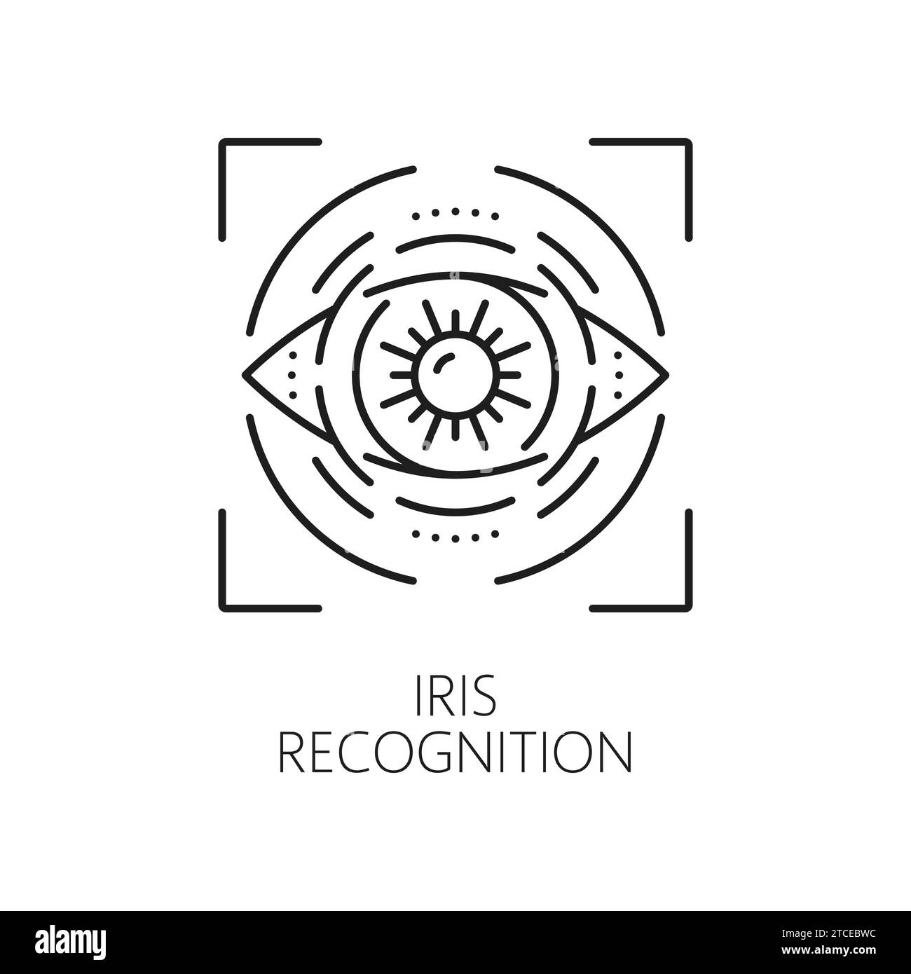 Iris Recognition Identification And Verification Icon Isolated Vector Linear Sign Outline