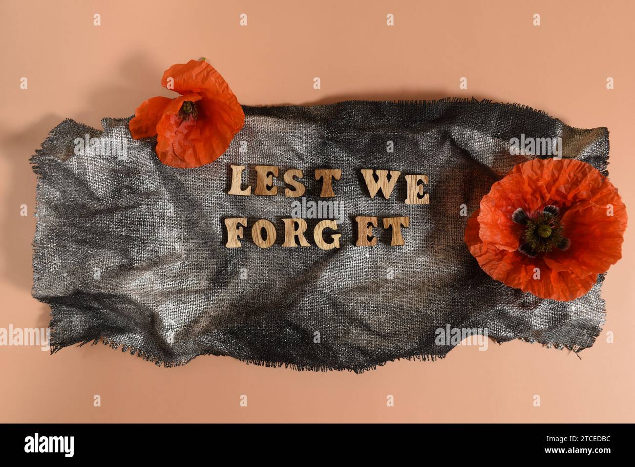Remembrance Day. Red poppies and stone Stock Photo - Alamy