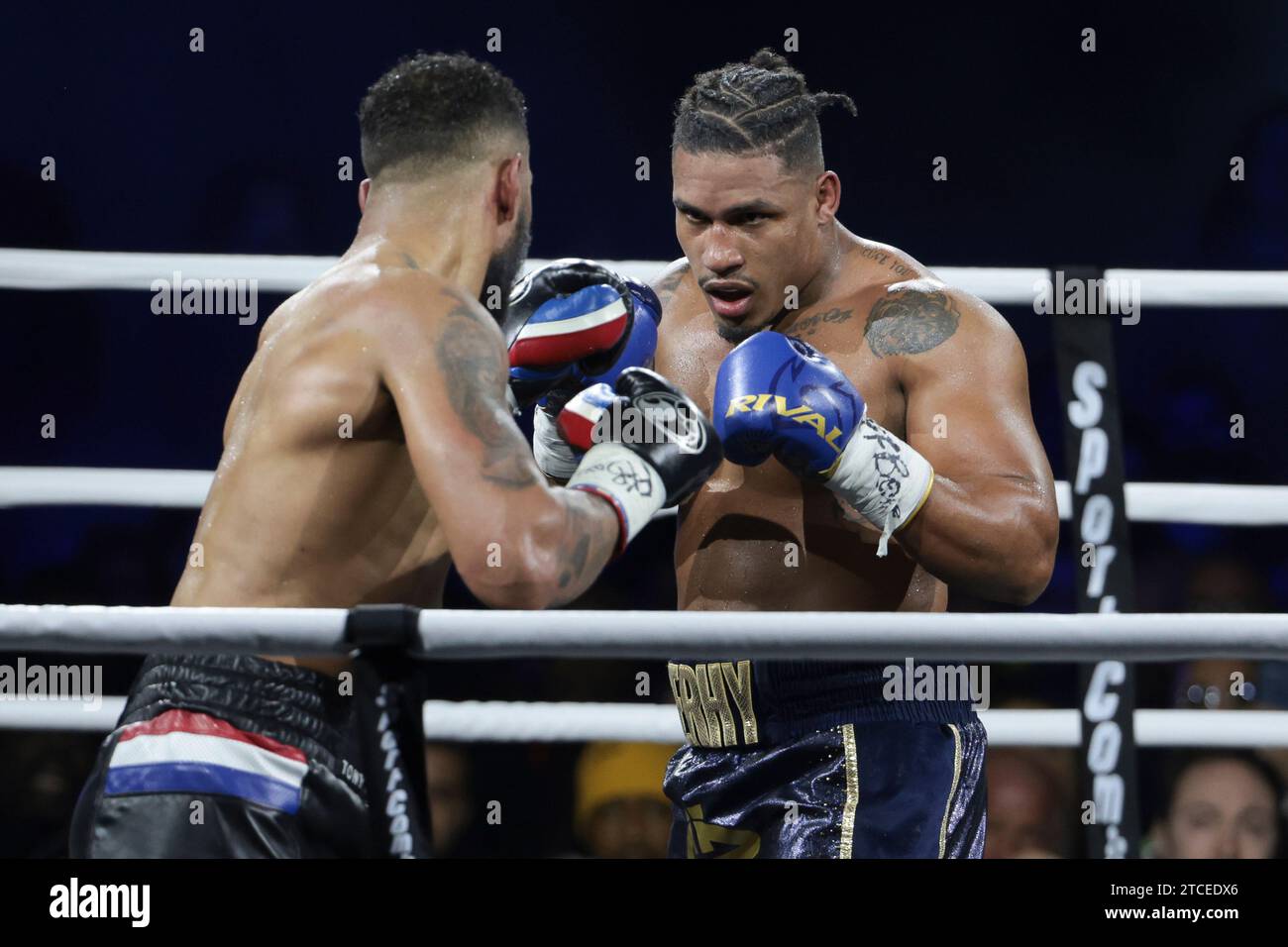 Ryad Merhy of Belgium (blue gloves) and Tony Yoka of France (black ...