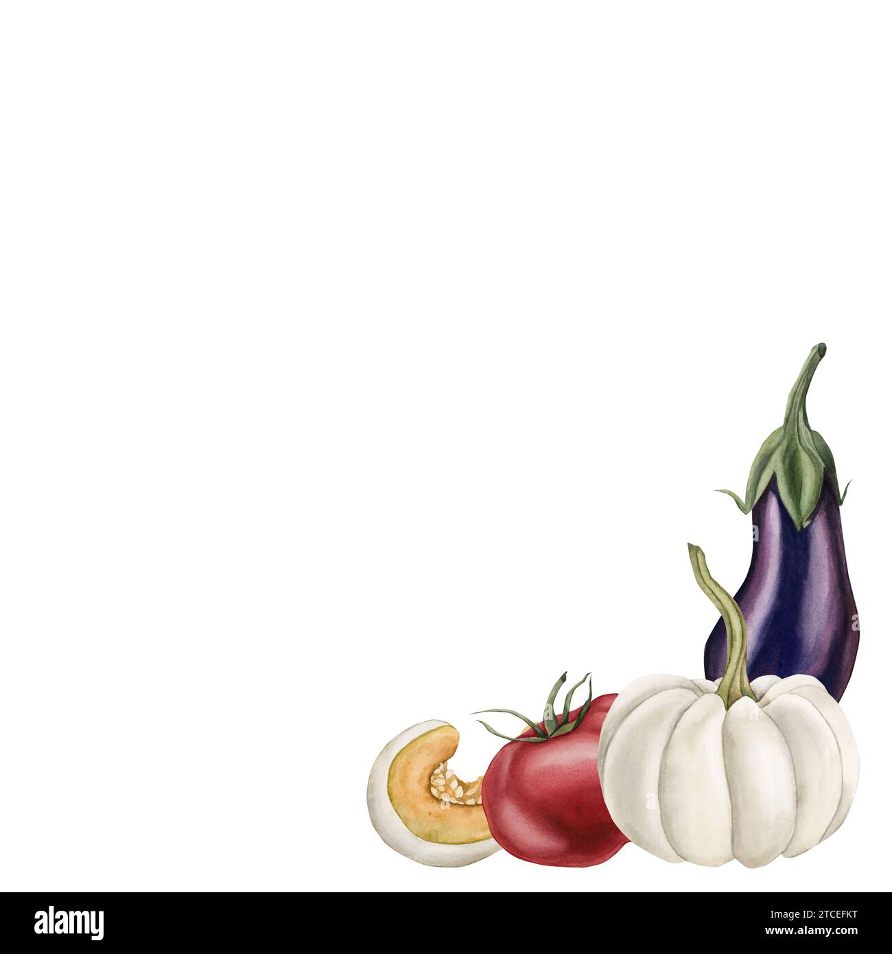 Corner frame with vegetables: pumpkin, eggplant, tomato. Watercolor ...