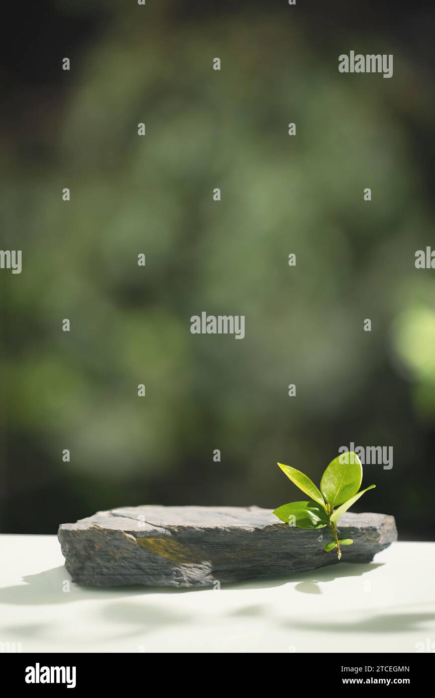 Product branding backdrops, Commercial product photography backdrop ...