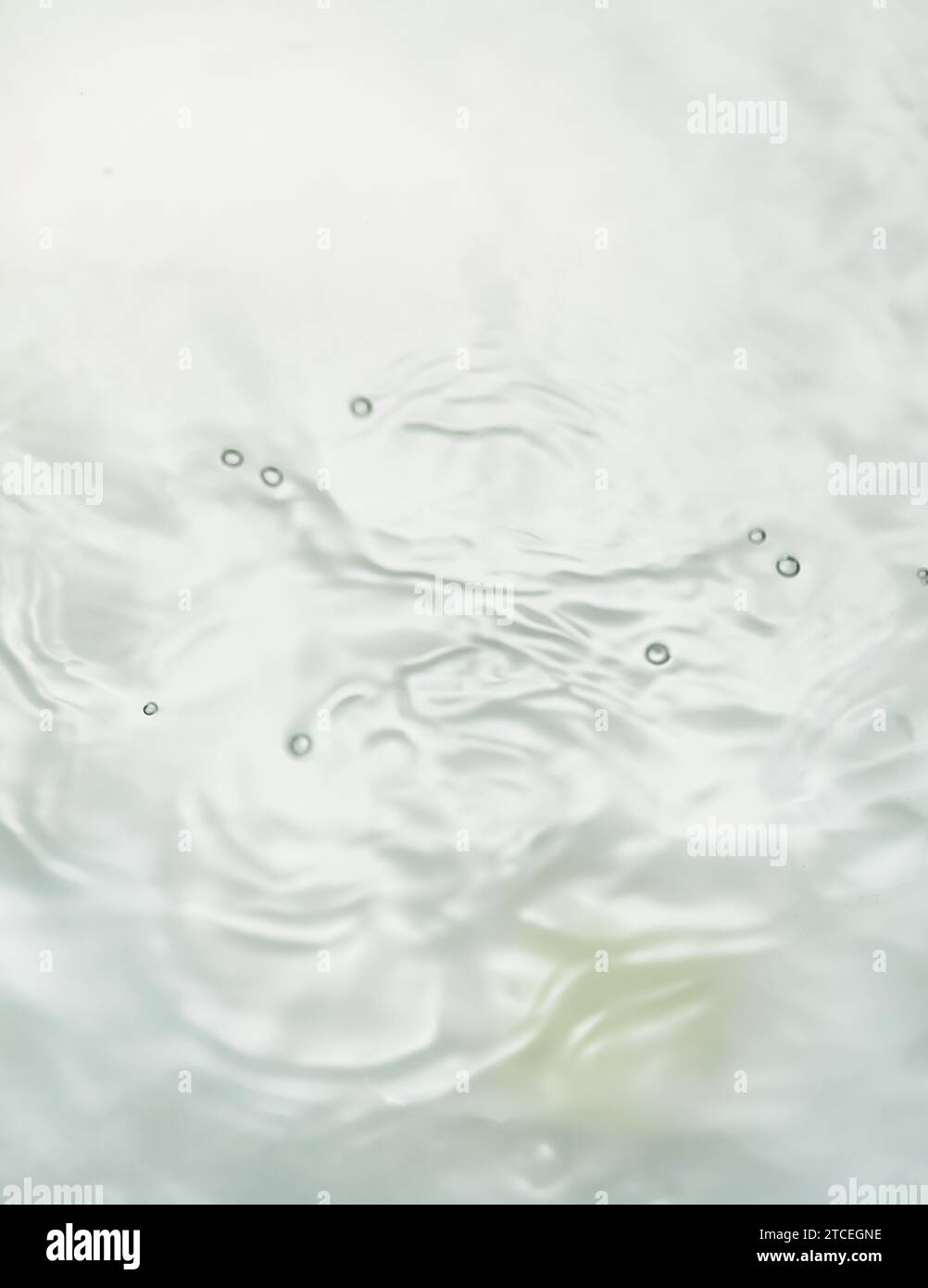 Product branding backdrops, Commercial product photography backdrop ...