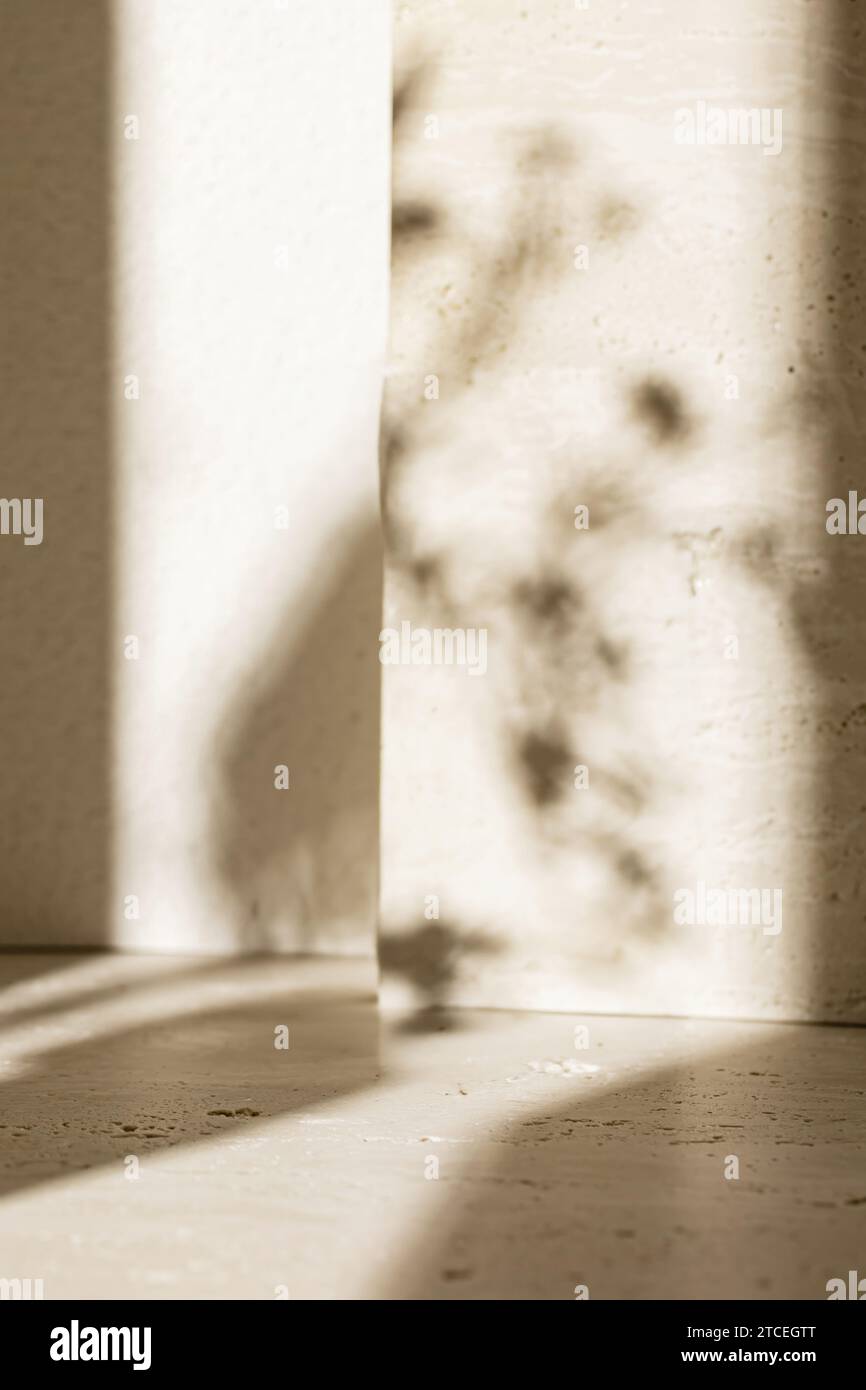 Product branding backdrops, Commercial product photography backdrop ...