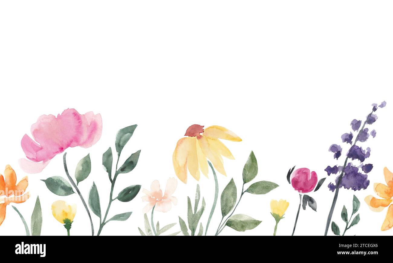 Colorful summer wildflower meadow. Cartoon watercolor flowers ...