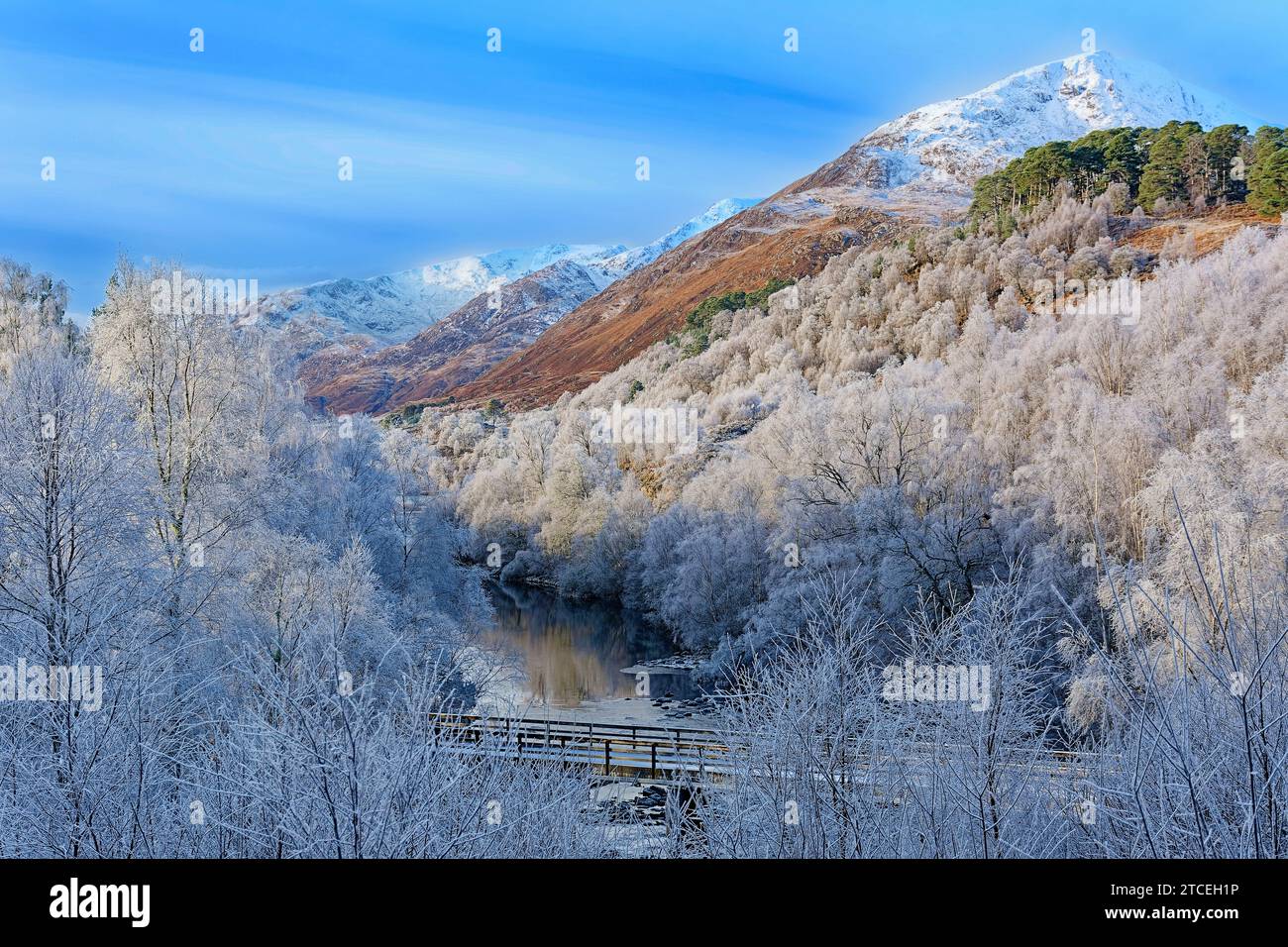 Glen Affric Cannich Scotland a view of the river and bridge on an early ...