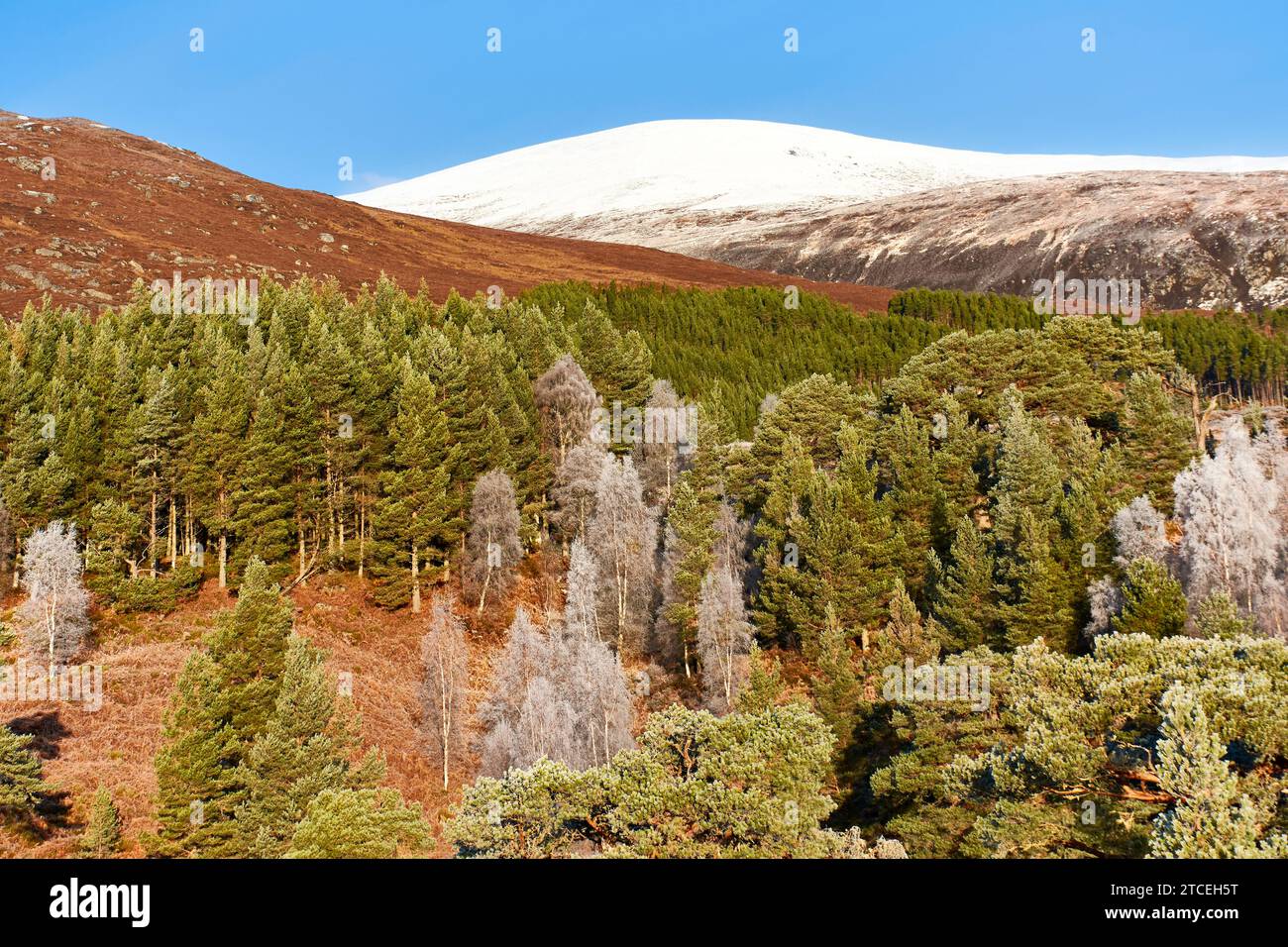 Glen Affric Cannich Scotland blue sky and sunshine on the hill and ...
