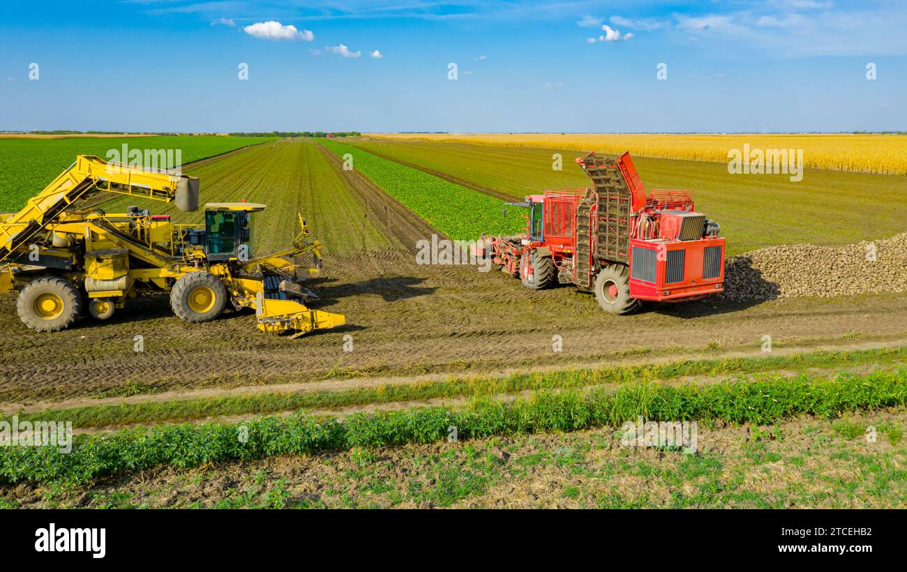Above view on loader for sugar beet as waiting a truck for ...