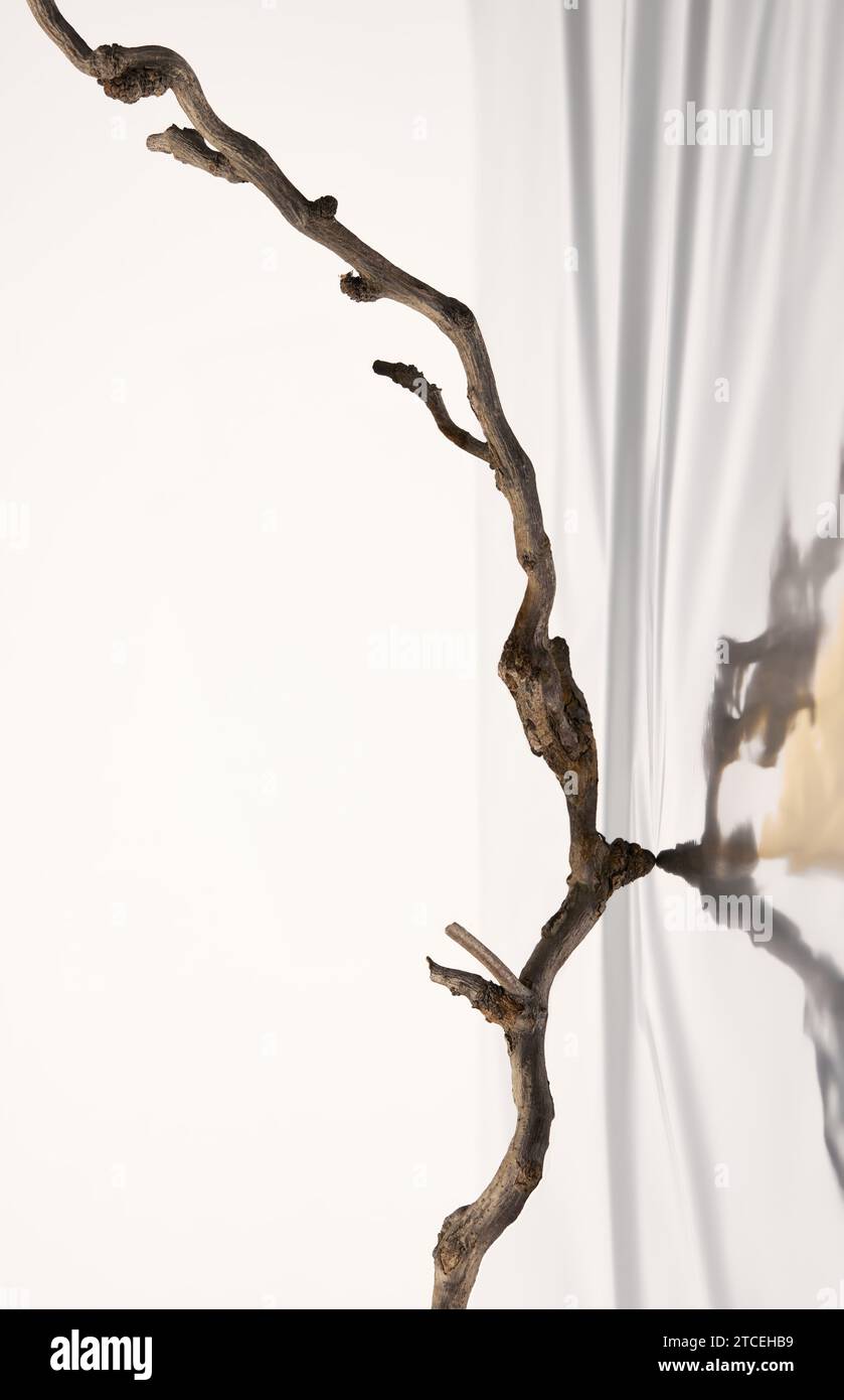 Product branding backdrops, Commercial product photography backdrop ...