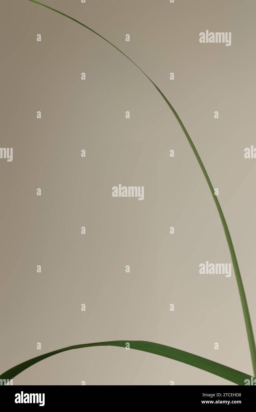 Product branding backdrops, Commercial product photography backdrop ...