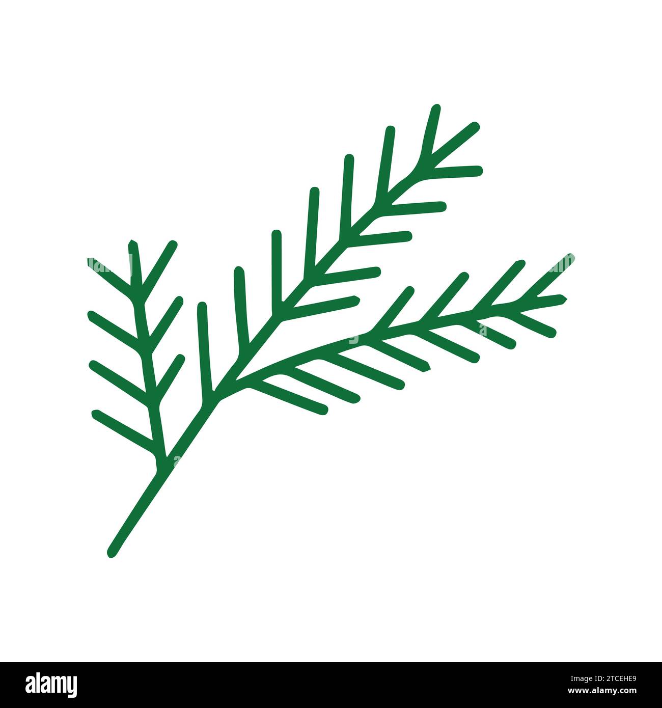 Decorative stylized branch of a pine tree. Vector graphic illustration ...