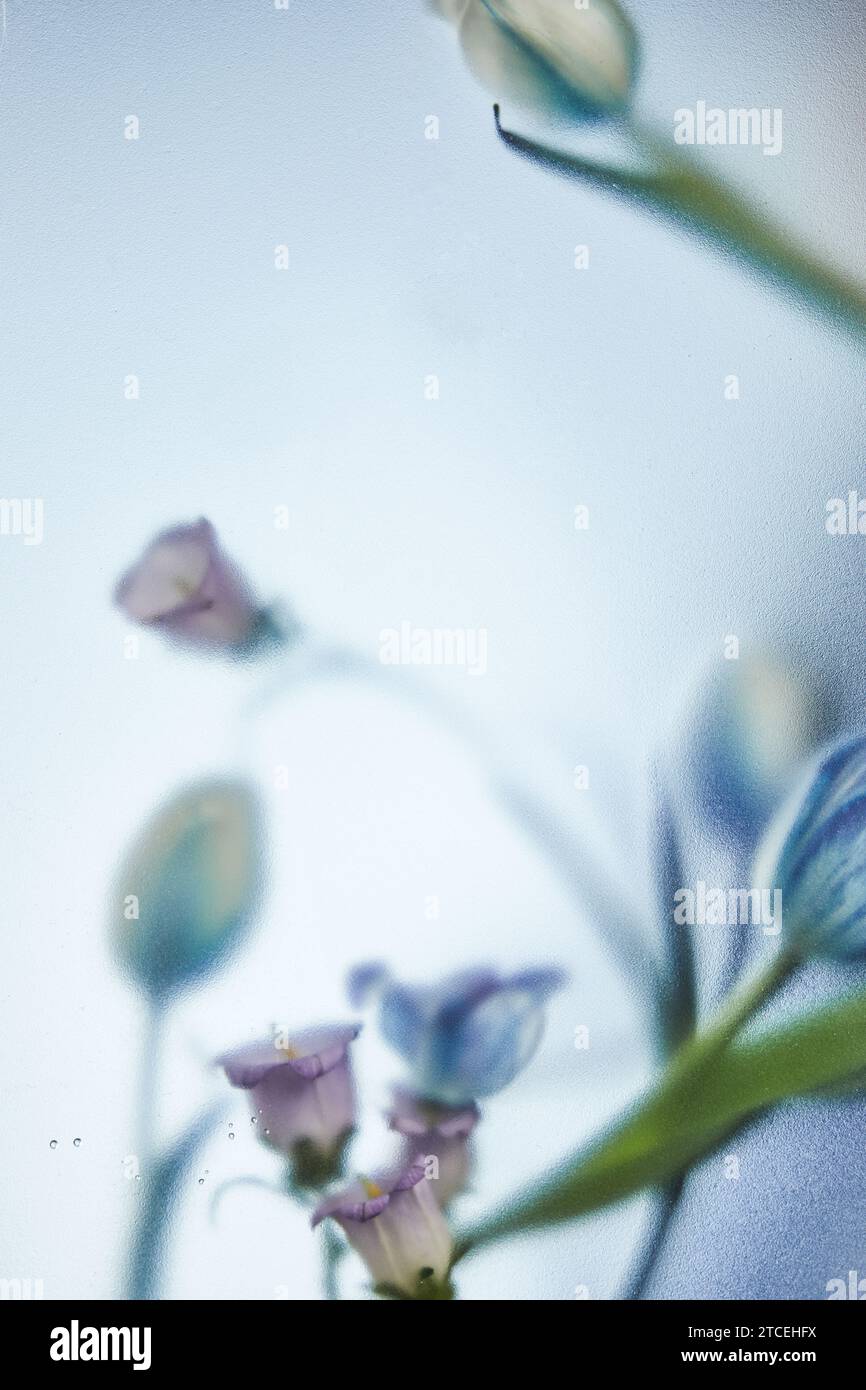 Product branding backdrops, Commercial product photography backdrop ...