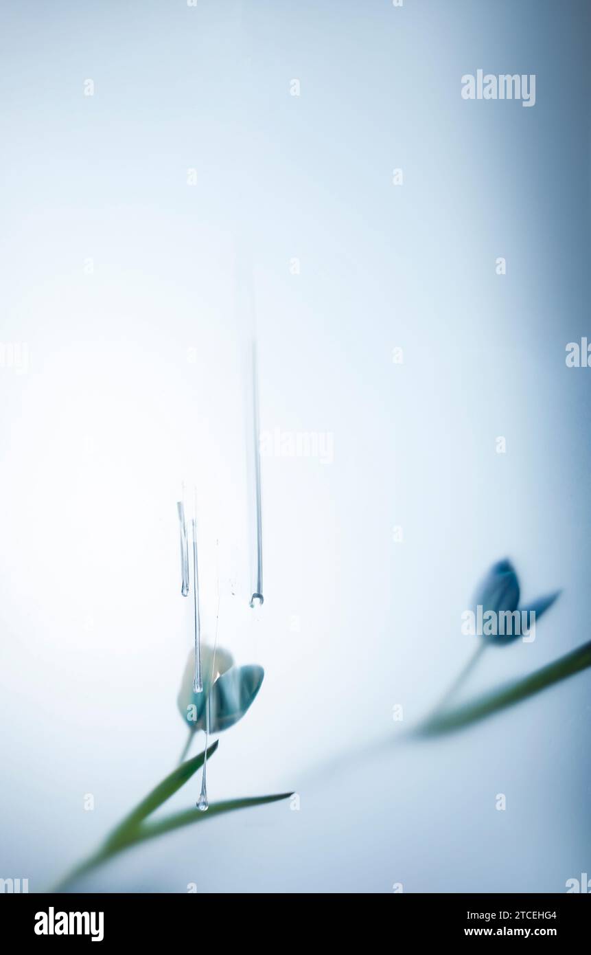 Product branding backdrops, Commercial product photography backdrop ...