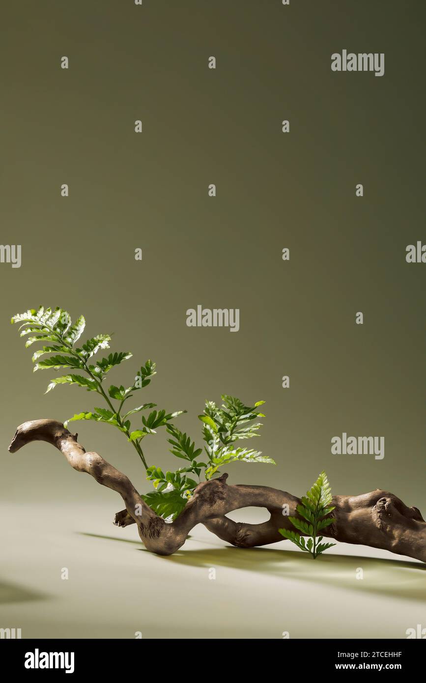 Product branding backdrops, Commercial product photography backdrop ...