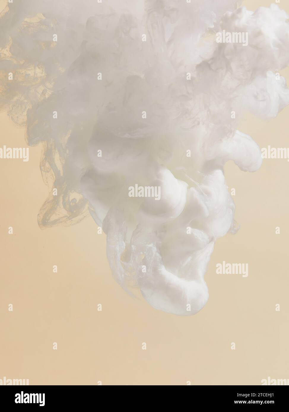 Product branding backdrops, Commercial product photography backdrop ...