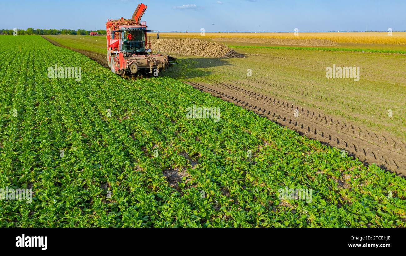 Above view on agricultural machine, harvester as cutting and harvesting ...