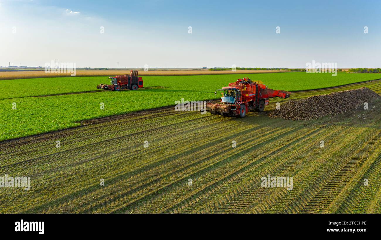 Above view on two agricultural machines, harvesters as cutting and ...
