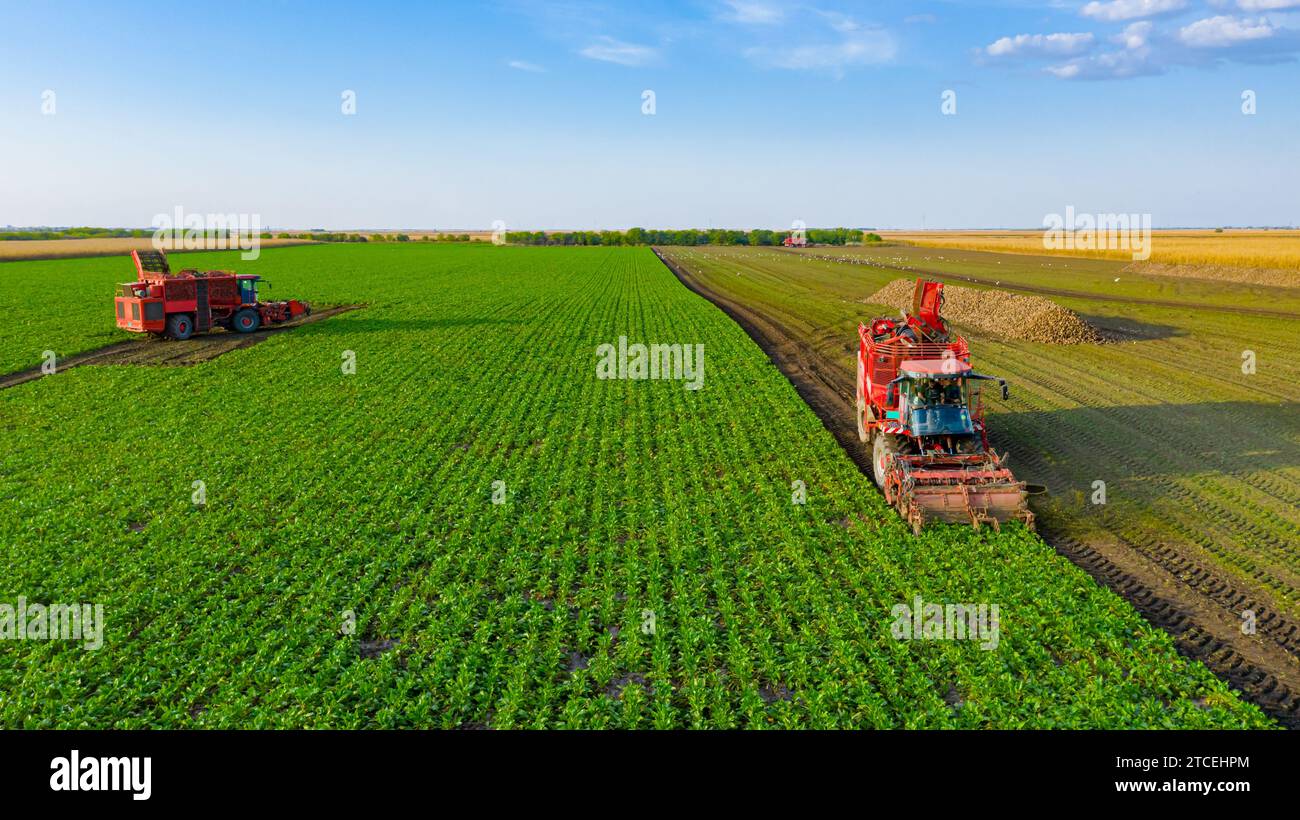 Above view on two agricultural machines, harvesters as cutting and ...