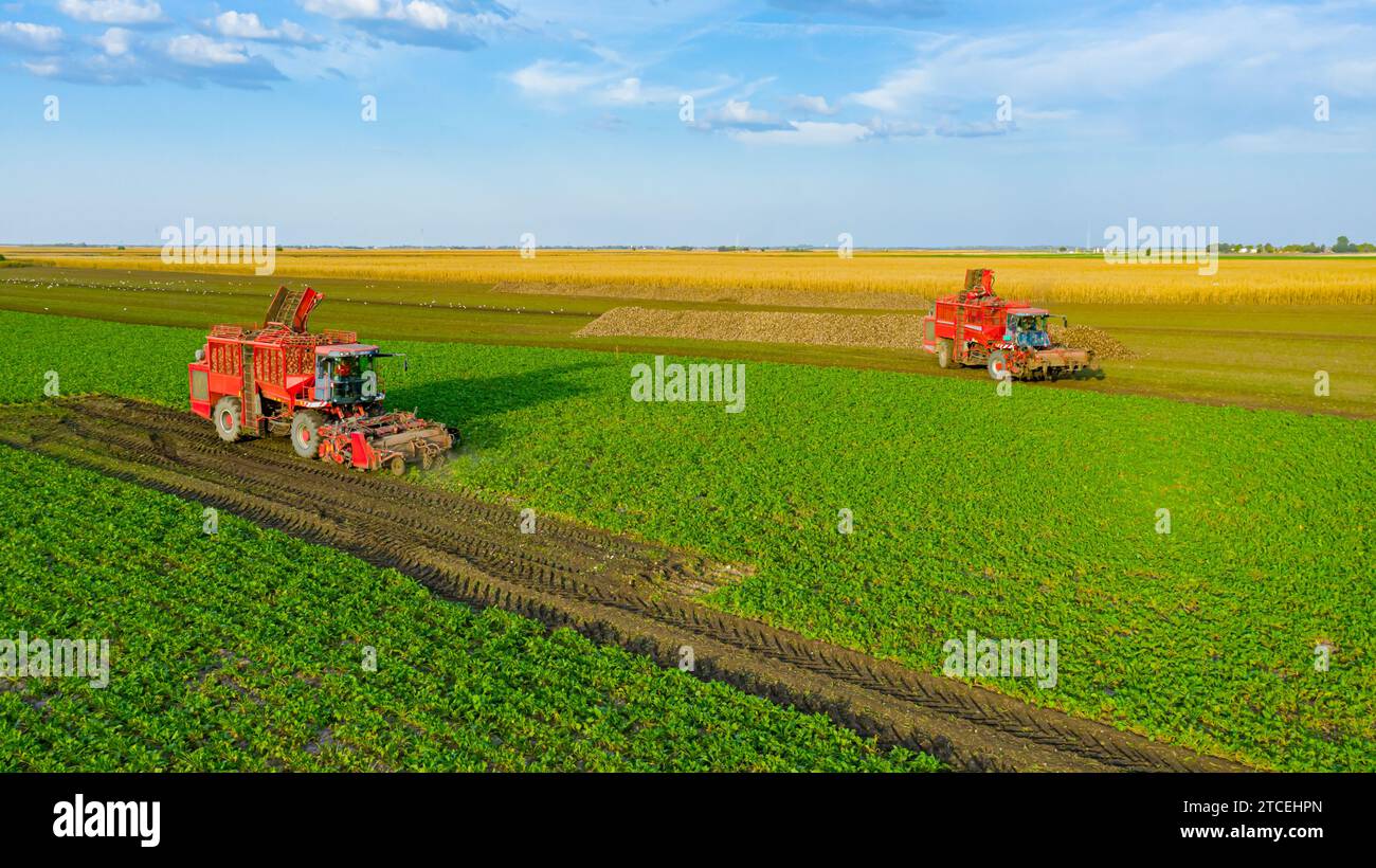 Above view on two agricultural machines, harvesters as cutting and ...